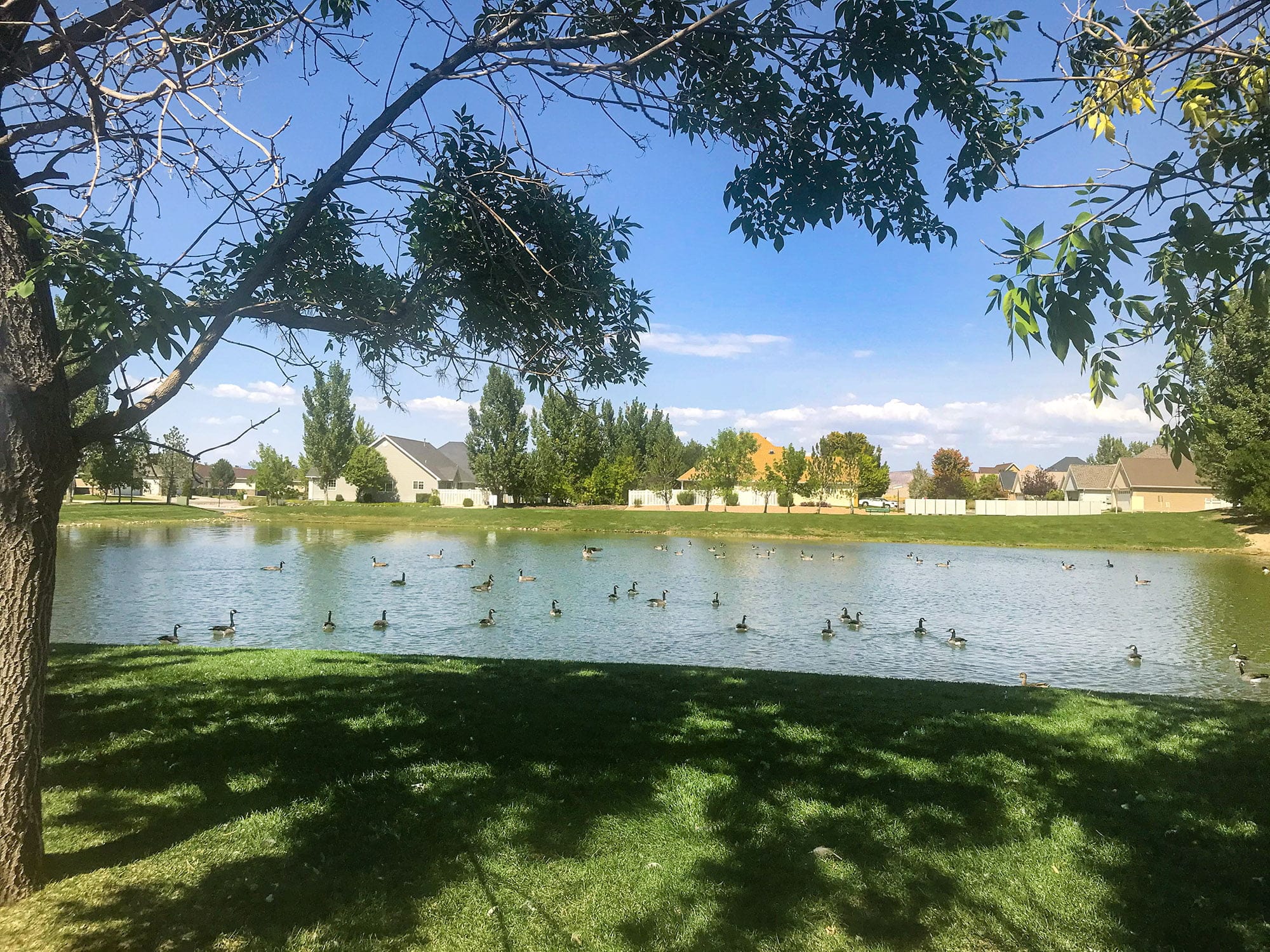 Gallery - Bear Creek Subdivision